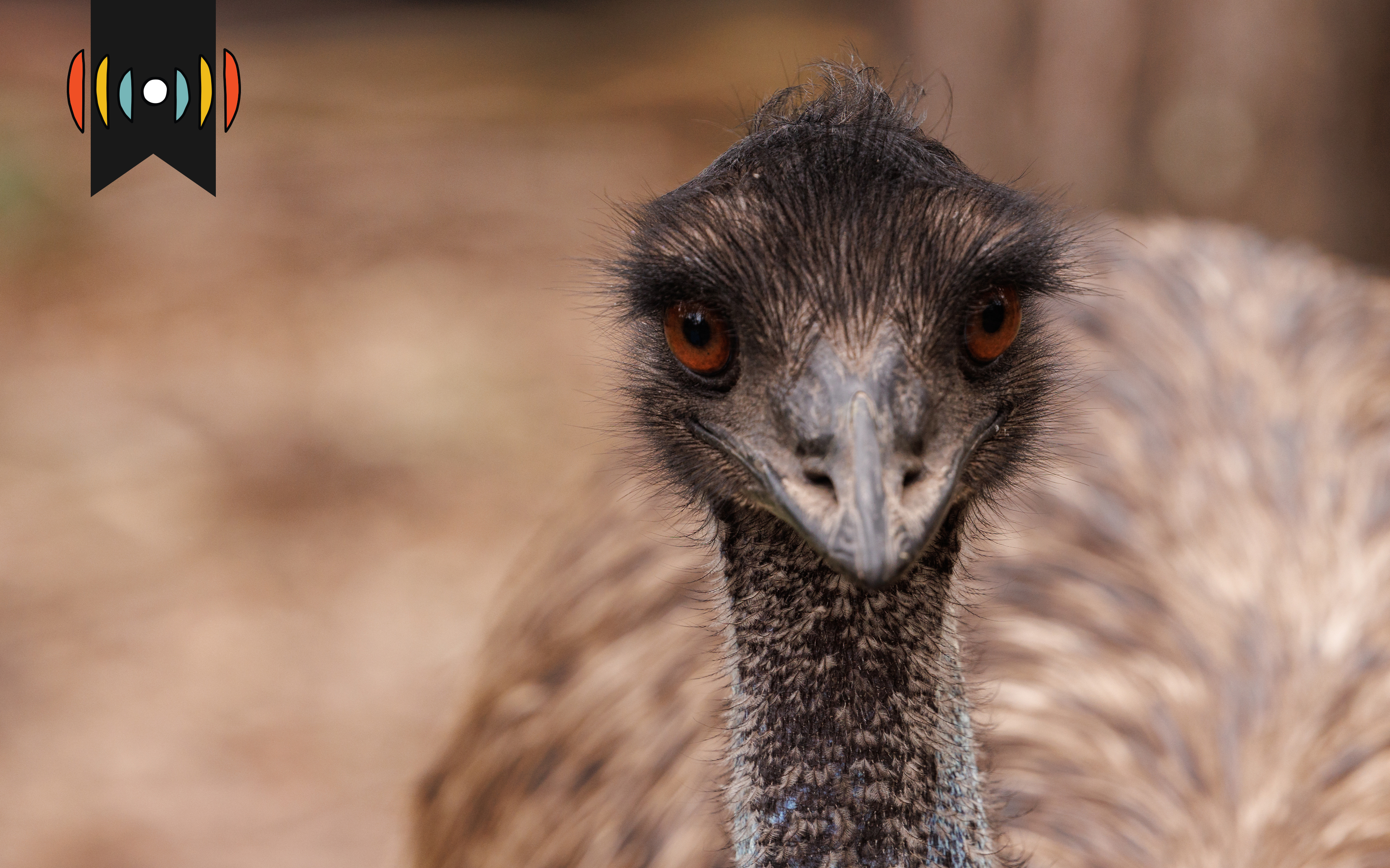 Kicker: Fleet of foot | WORLD