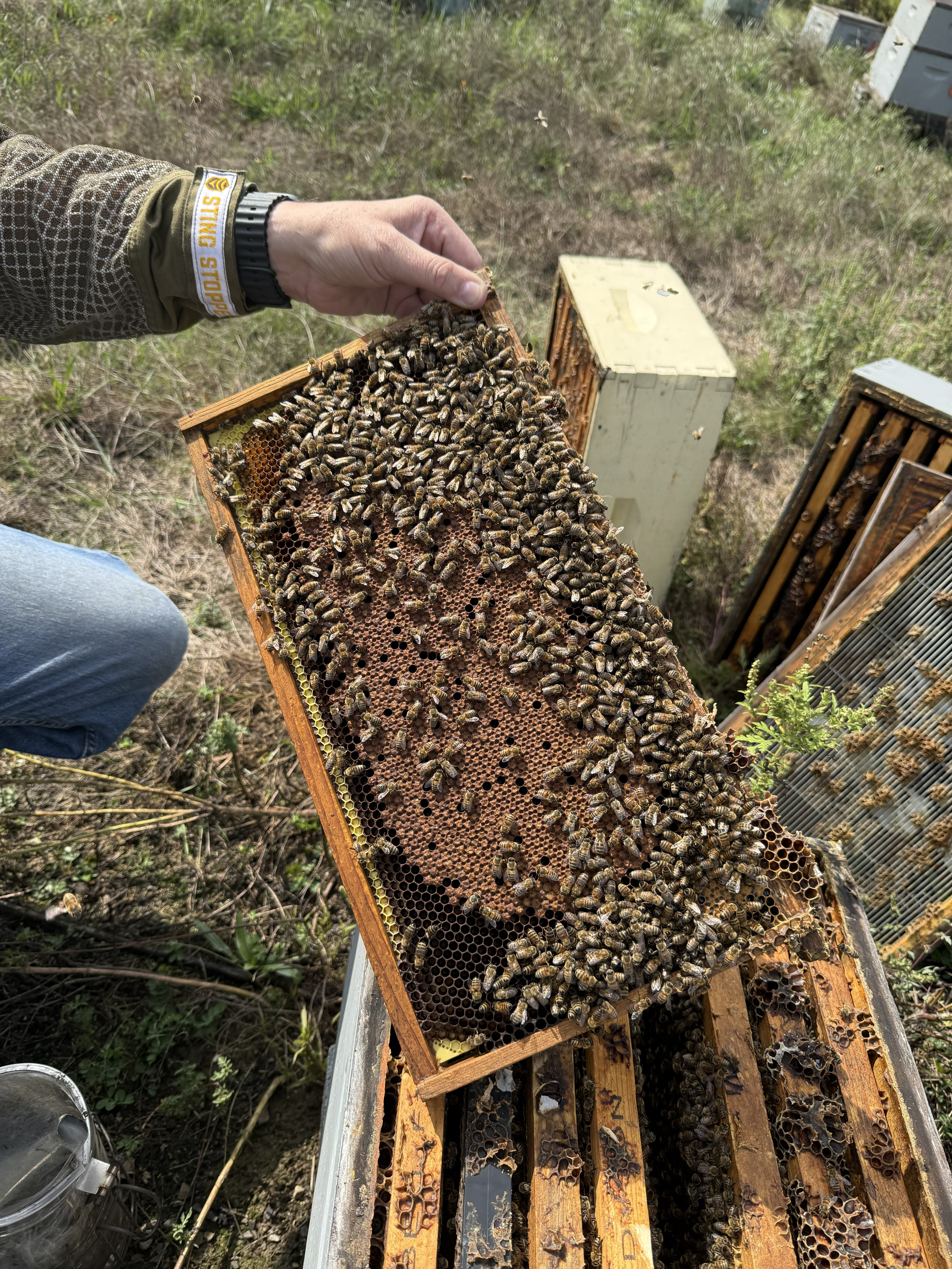 The buzz at the airport | WORLD