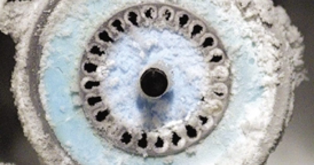 Frozen generation | WORLD