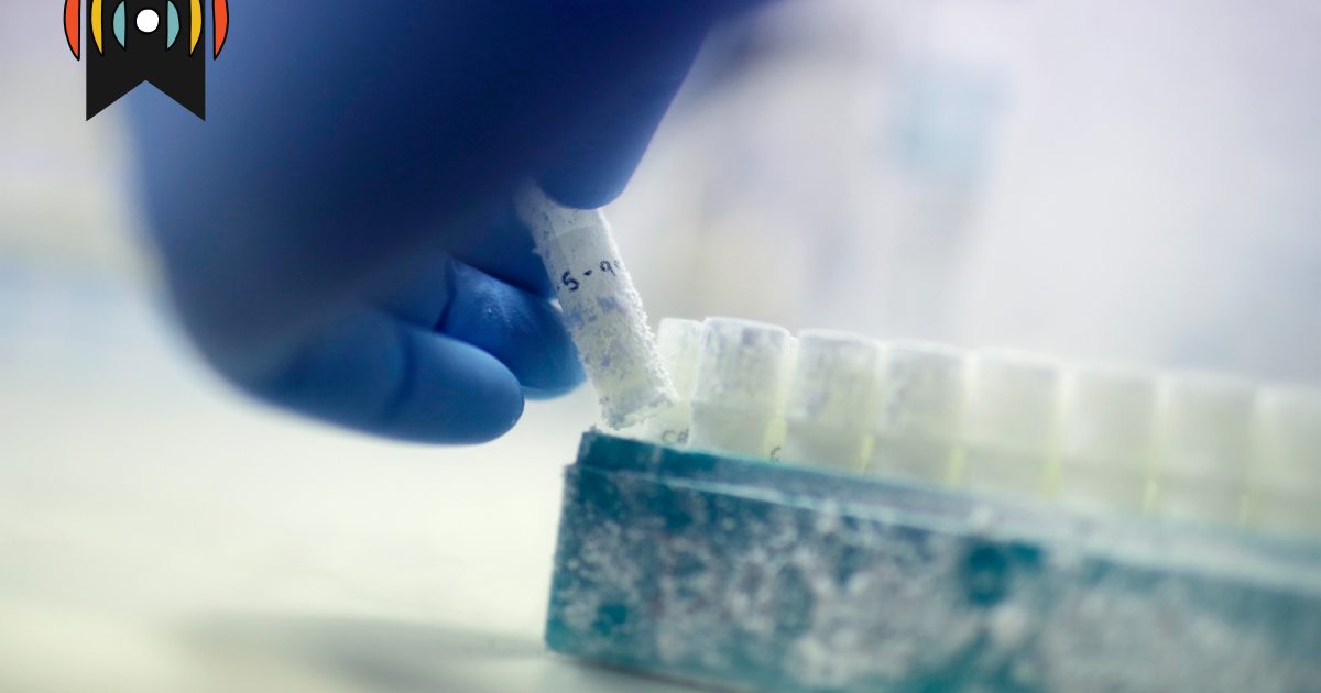 Putting life on ice | WORLD