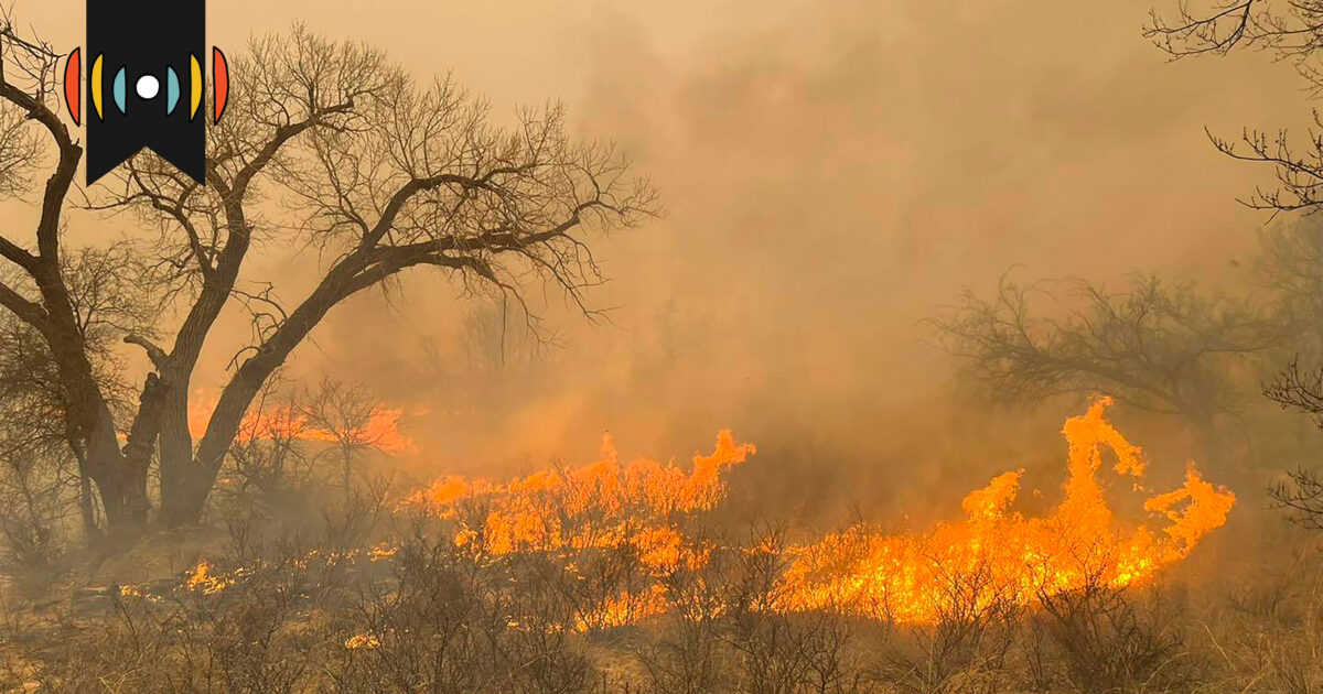 Managing a Texas fire | WORLD