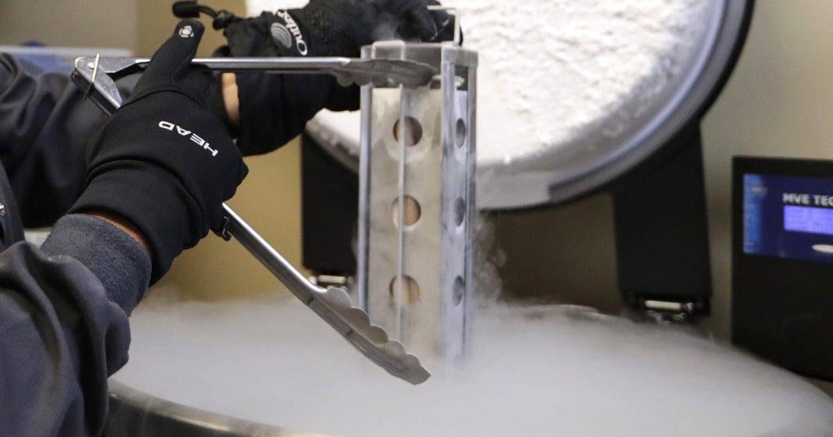 Left in the cold: The unsupervised world of embryo freezing | WORLD