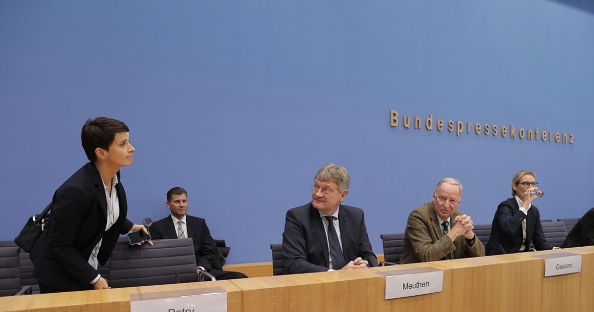 Fissures split Germany’s far-right | WORLD