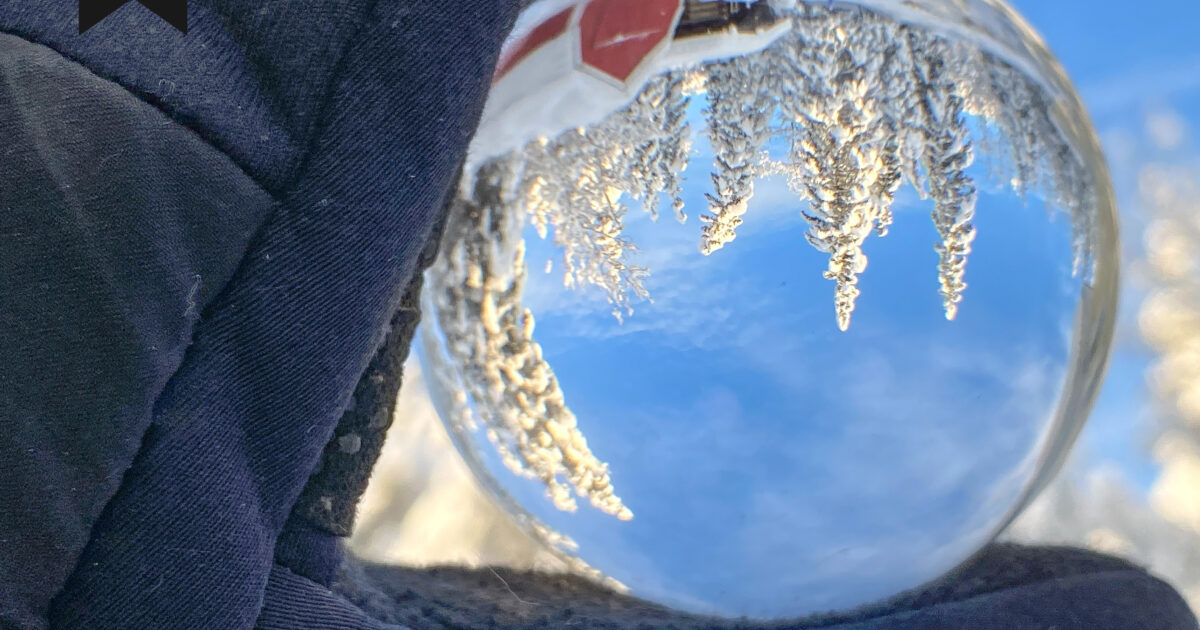 Janie B. Cheaney: Through a snow globe dimly | WORLD