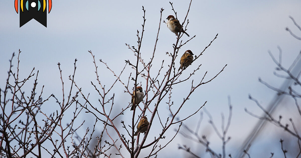 Steve West: The little things that point upward | WORLD