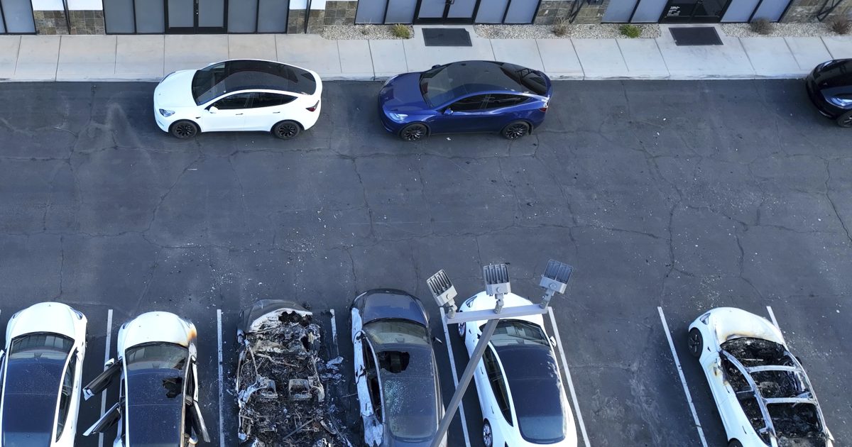 Las Vegas man firebombed, shot up Teslas at site, police say | WORLD