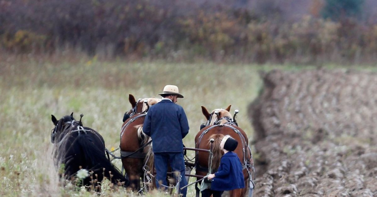 Getting out the Amish vote: Turnout may prove pivotal in Ohio… | WORLD