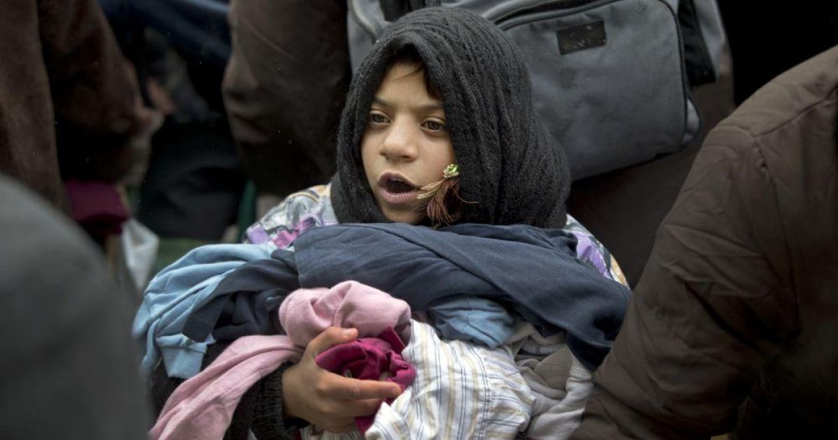 Native adoption trend takes hold in Eastern Europe | WORLD