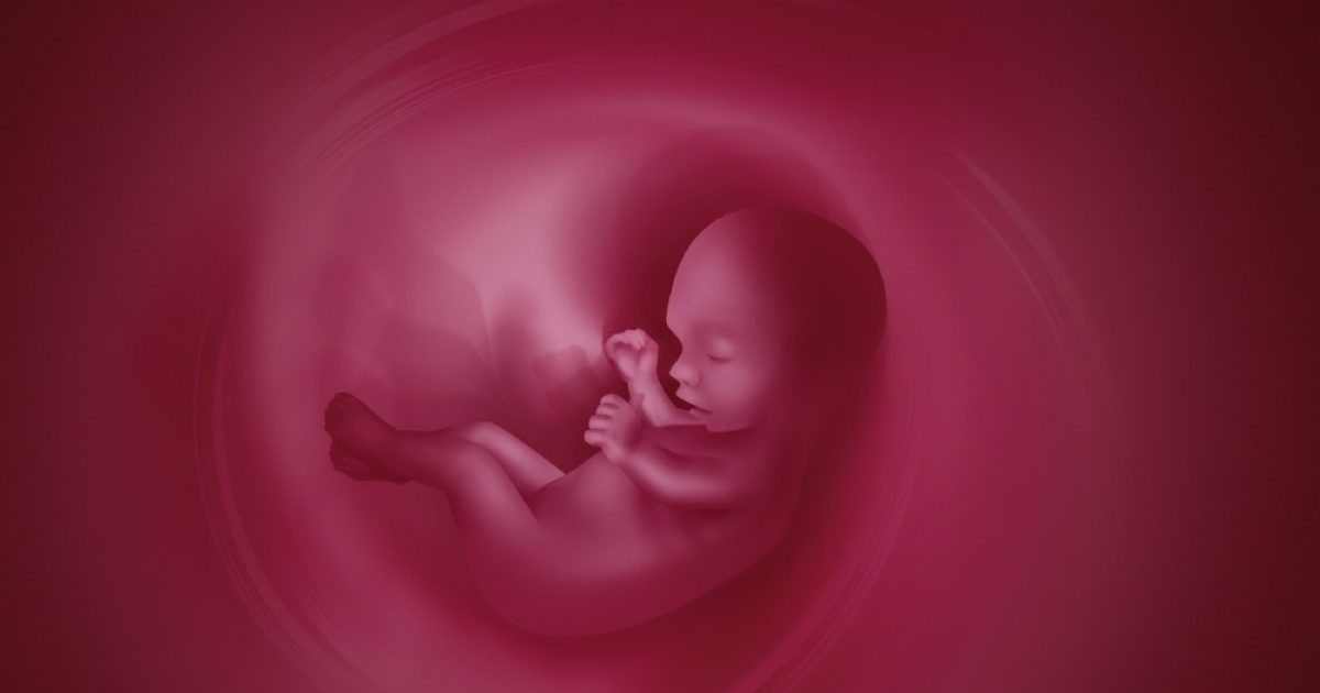 New evidence: Baby body parts are big business | WORLD