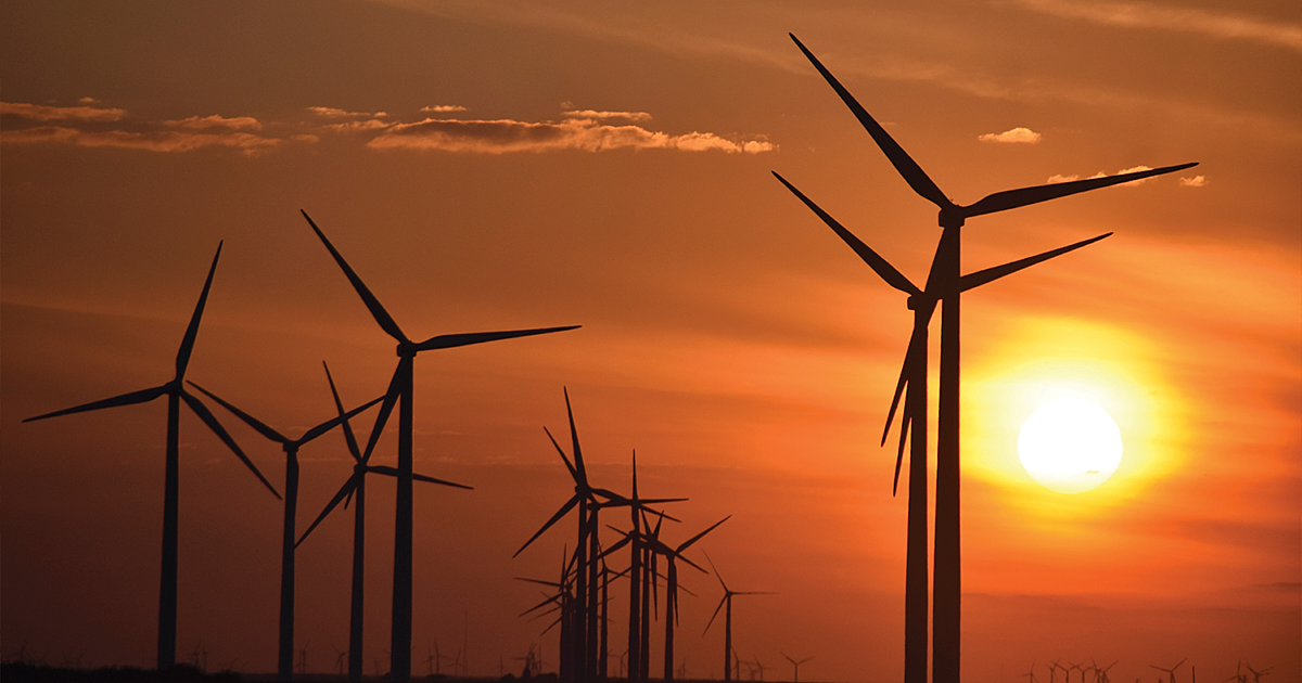 Why is renewable energy in a slump? | WORLD