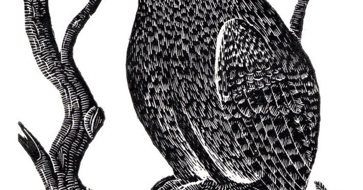 Clash of worldviews? | WORLD