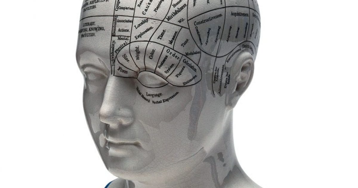 Brain scam | WORLD