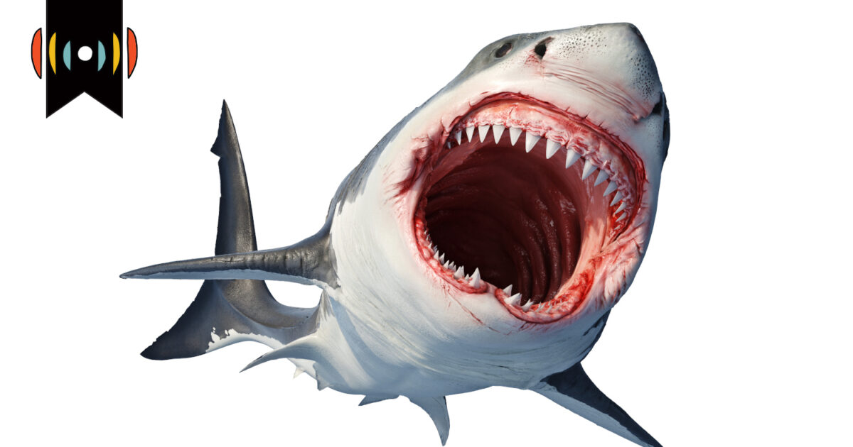 Kicker - Jaws actor takes a bite out of crime | WORLD