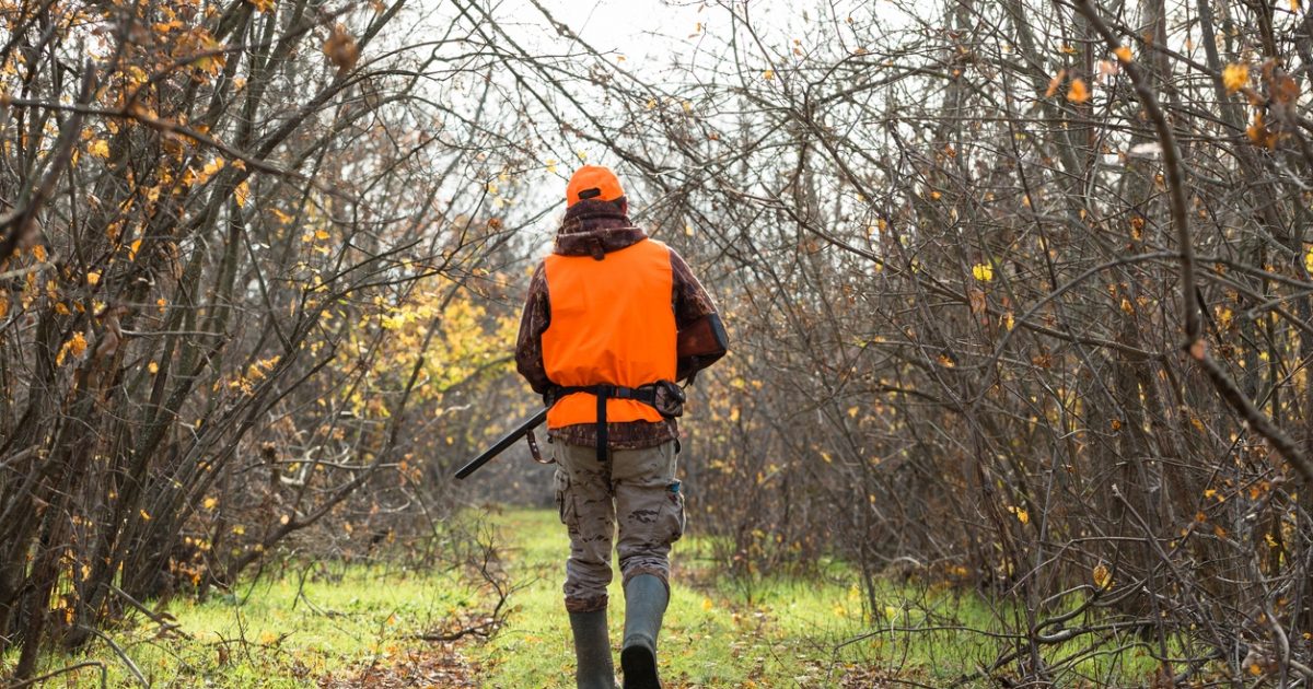 Whitney Williams - Hunting and living | WORLD