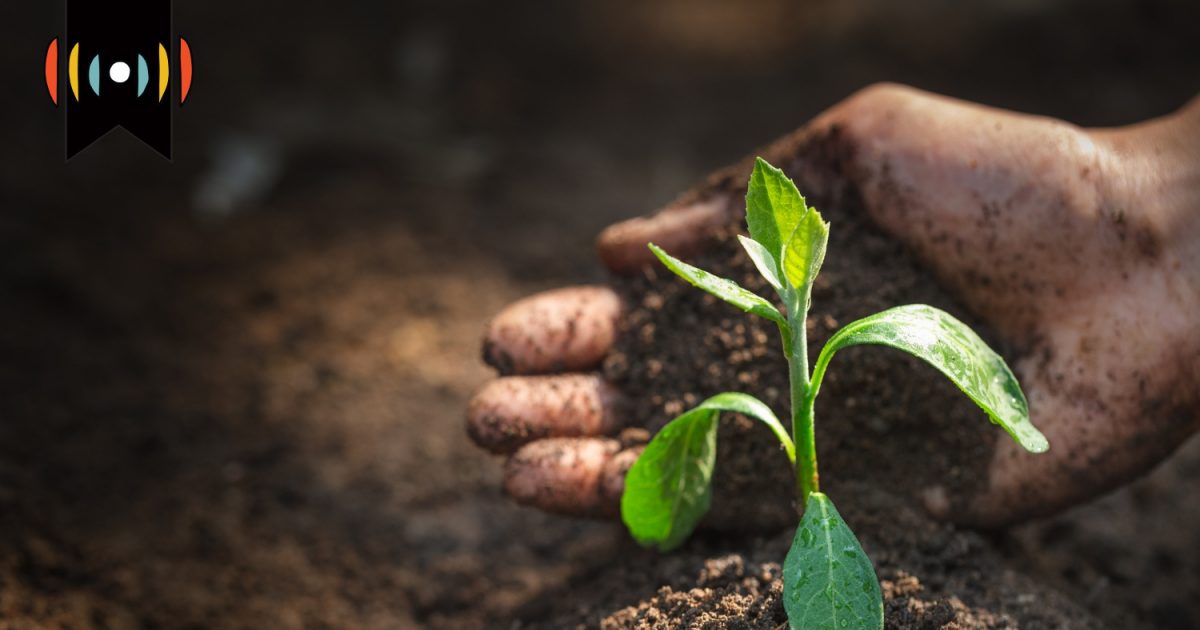 Janie B. Cheaney - The creation mandate at ground level | WORLD