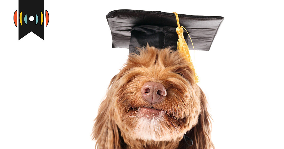 Kicker: Dog pe-degree | WORLD