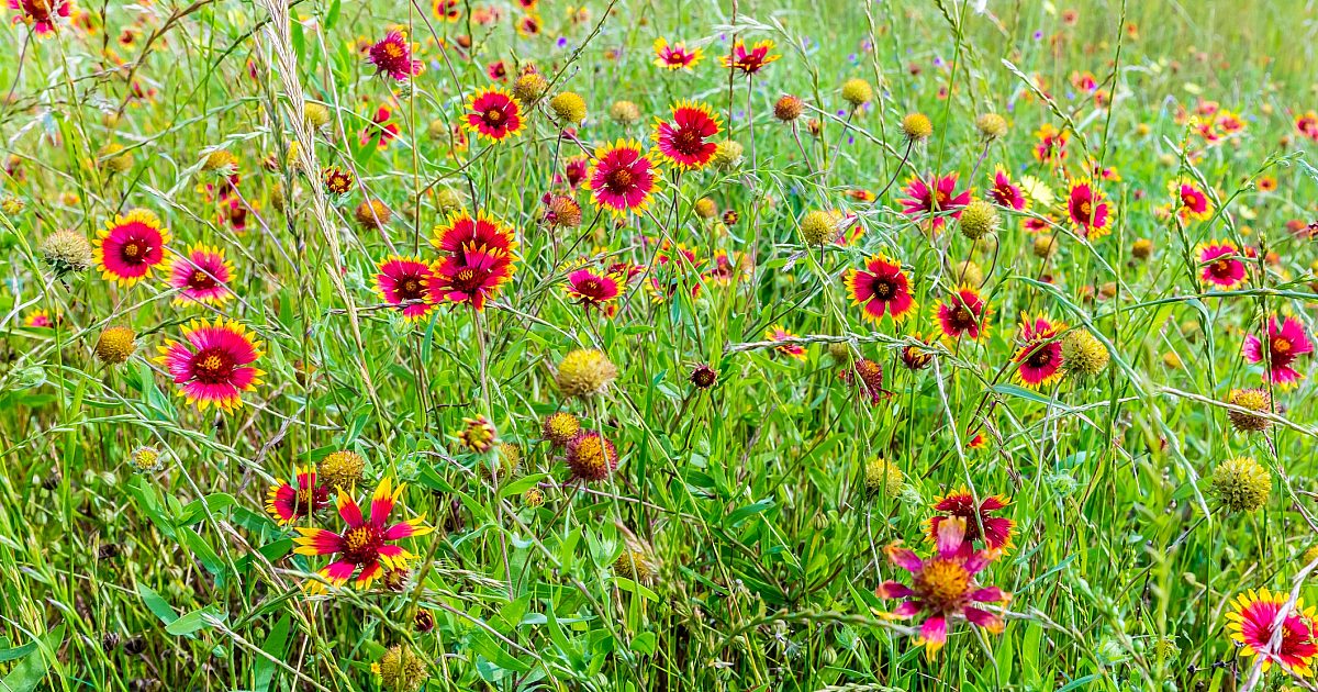 A graceful life | WORLD