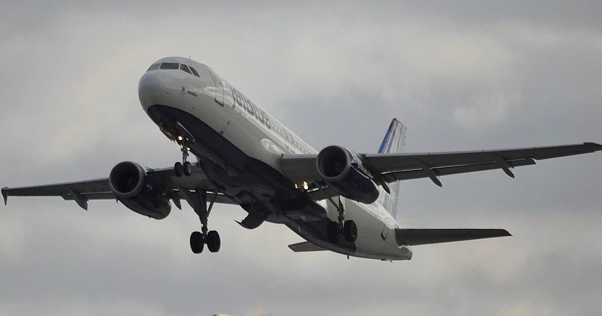 Aircraft employees find two bodies in JetBlue plane wheel well | WORLD