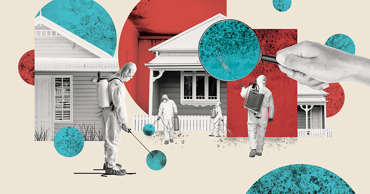 Australian mold buster | WORLD