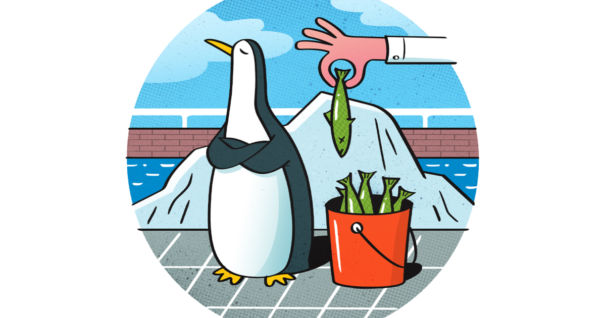 Animals on strike | WORLD