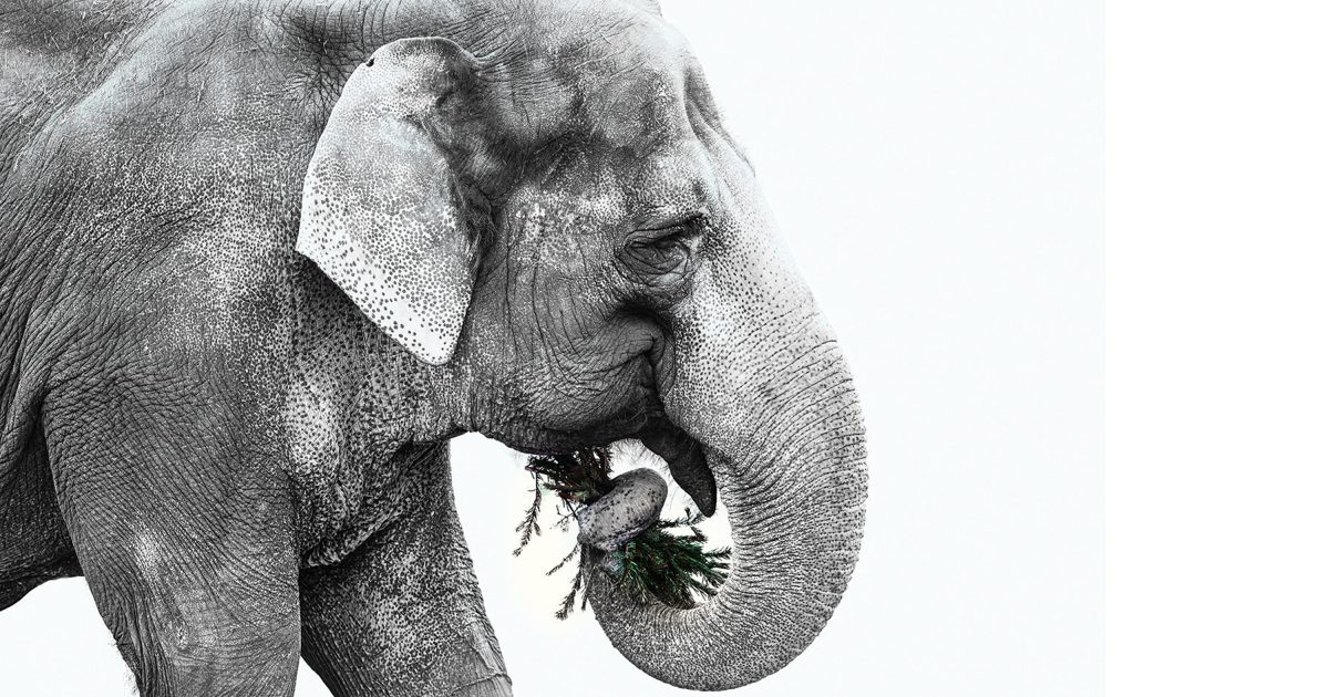 A jolly post-holiday | WORLD