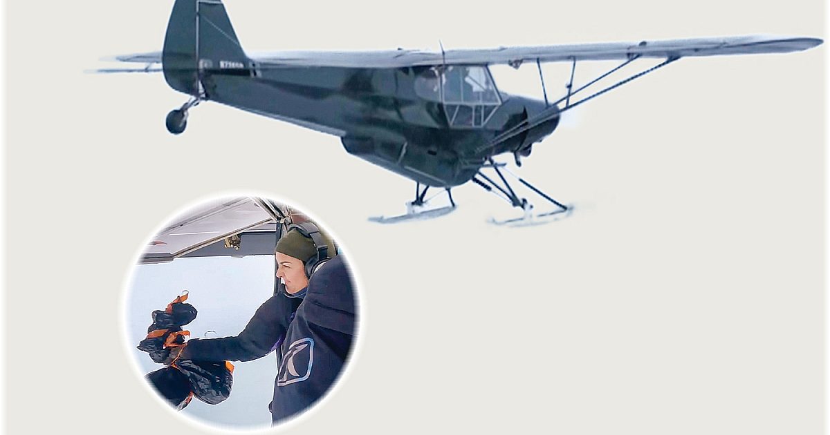 Just dropping in | WORLD