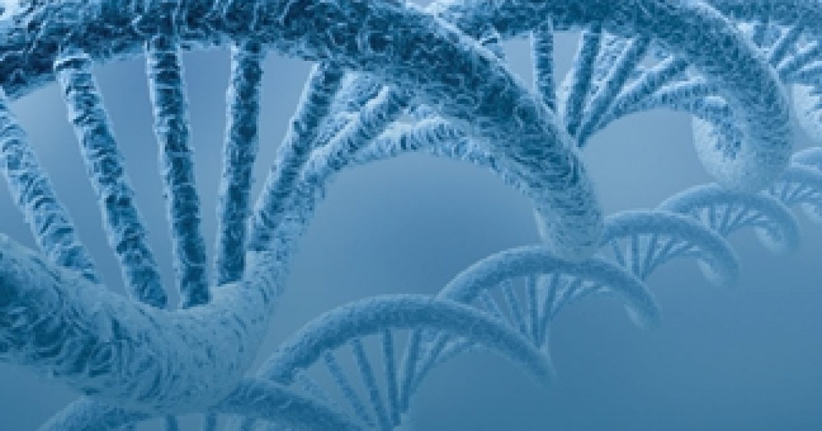 Screened out? | WORLD