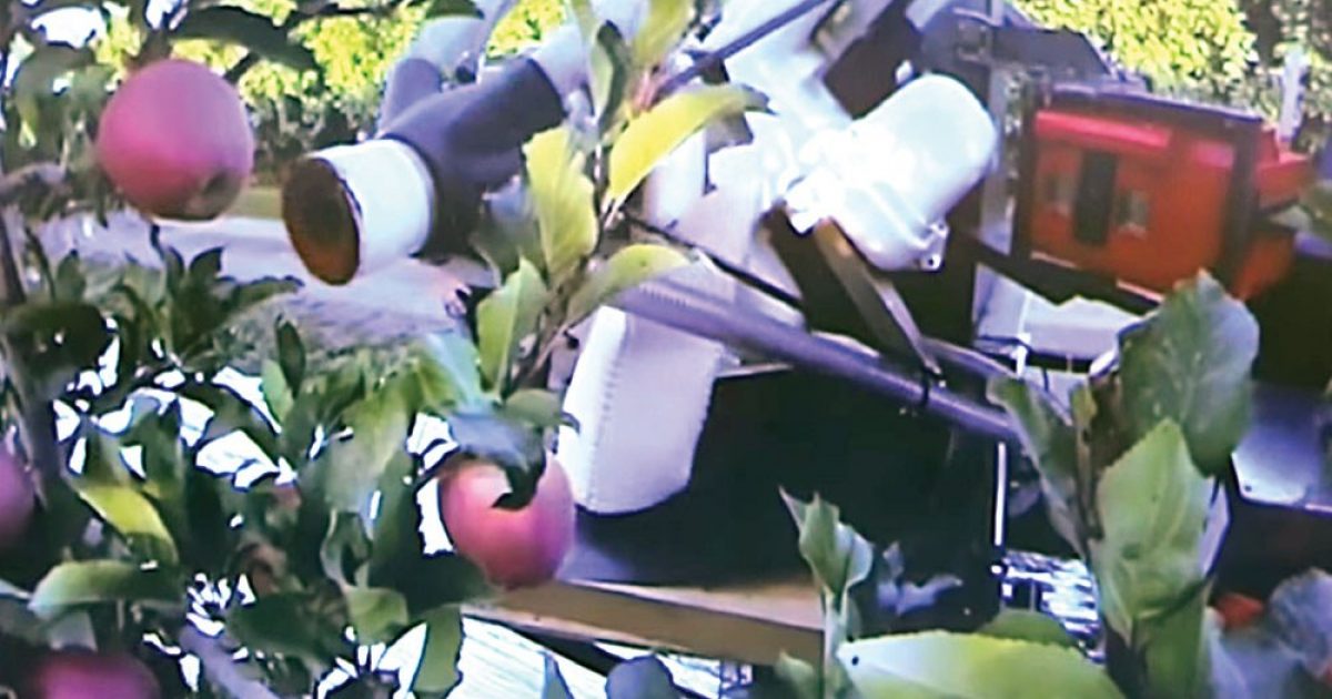 Ripe for robots | WORLD