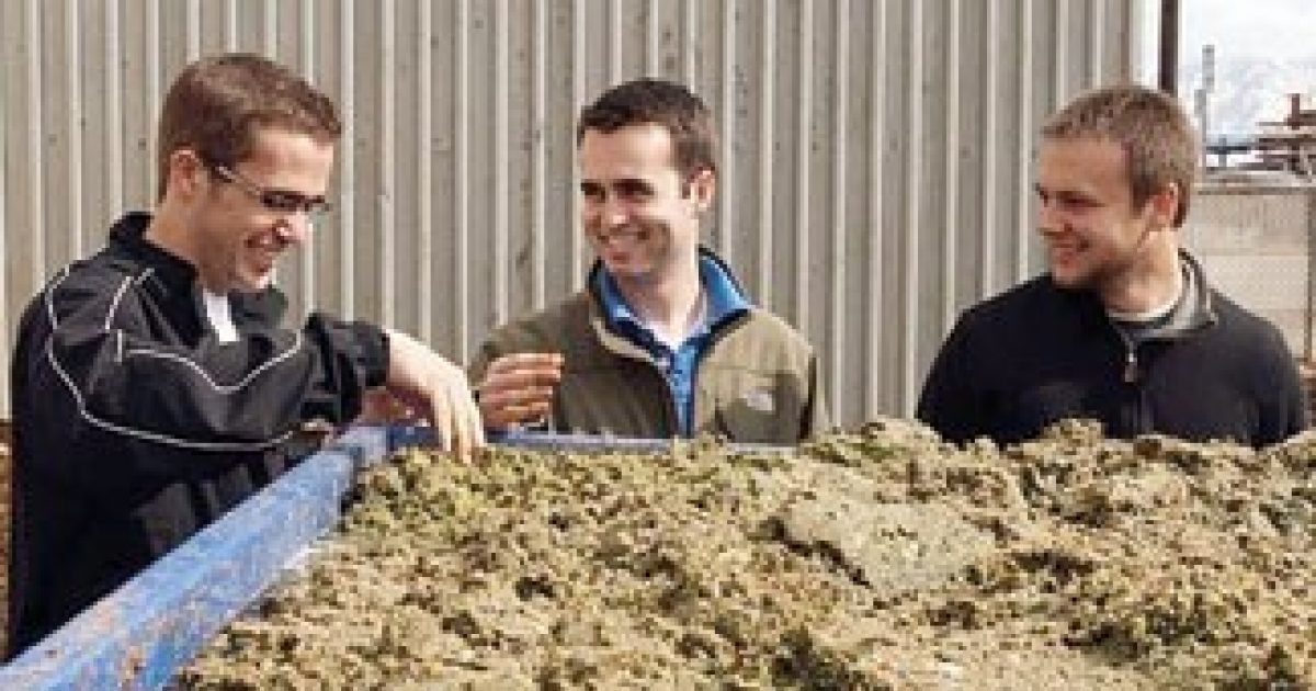 Organic thinking | WORLD