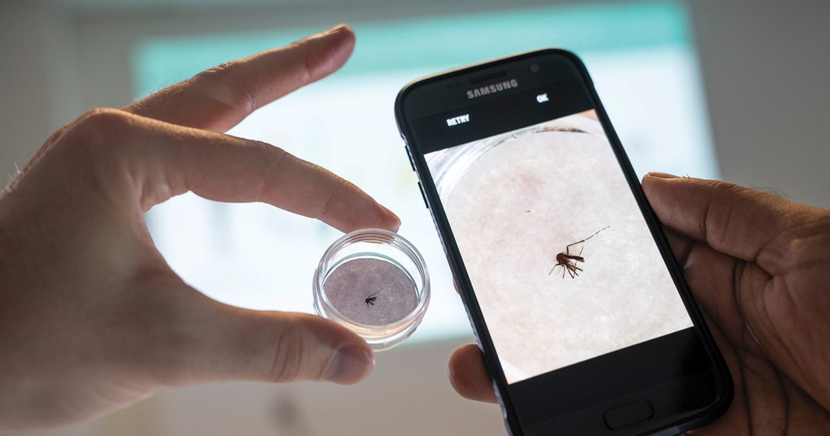 Citizen science meets AI | WORLD