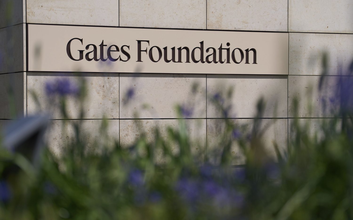 Gates Foundation accused of sending millions of dollars to… | WORLD